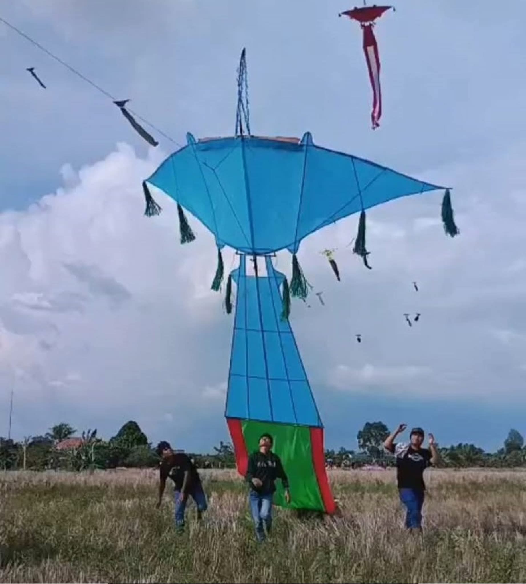 Tradisi Budaya Banjar Layang-Layang Dandang - kesultananbanjar.or.id